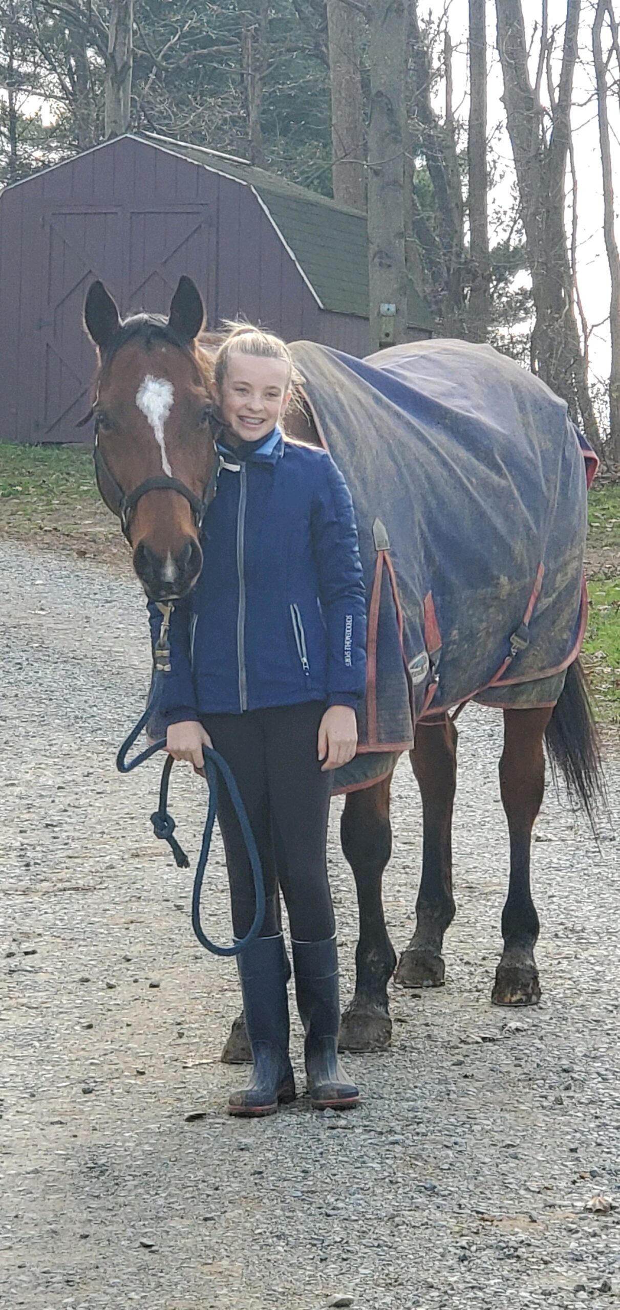 Buy Horses, Oxford, PA | Second Nature Farm